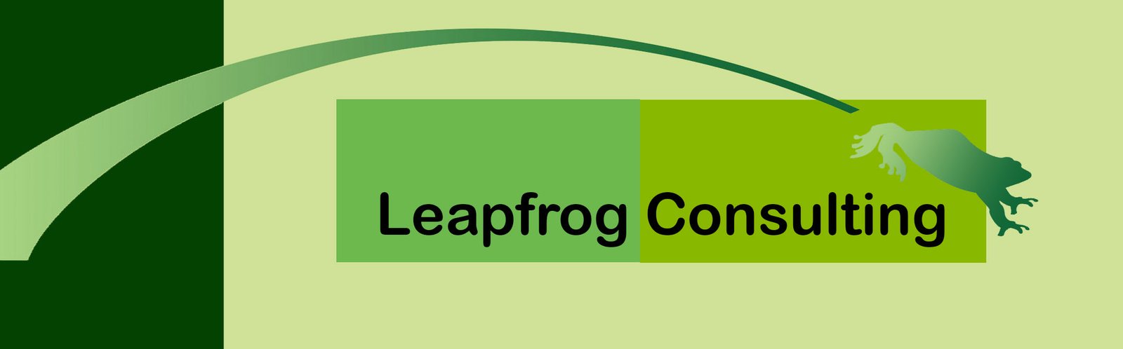 Our Work – Leapfrog Consulting